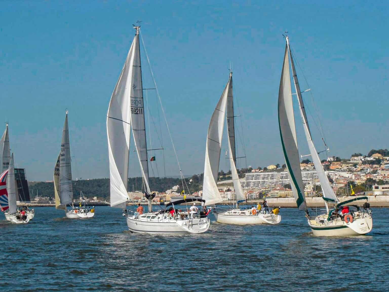 Discover the thrill of regattas on the Tagus - Lisbon Sight Sailing